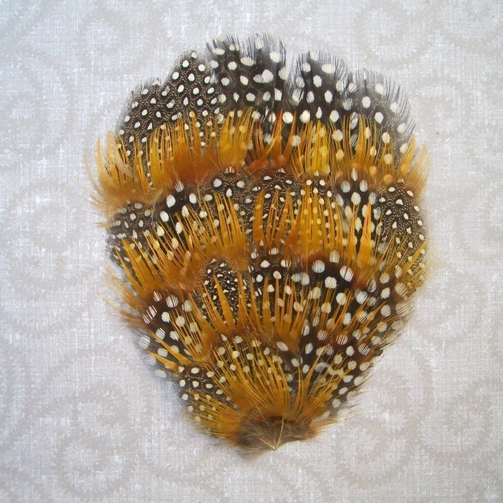 1 Guinea and Golden Pheasant Feather Pad