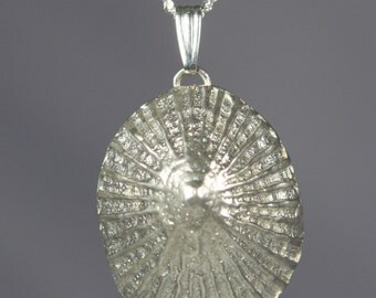 Popular items for opihi shell necklace on Etsy