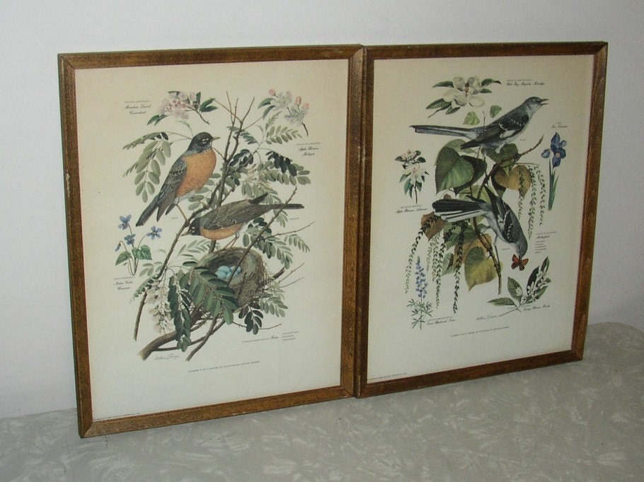 Arthur Singer Bird Print Set of 2 Robin and Mockingbird