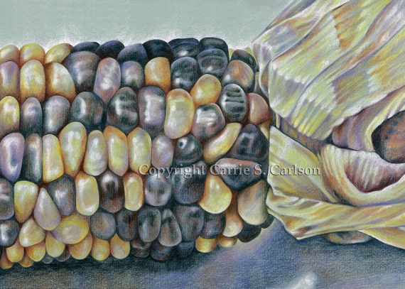 Items similar to Indian Corn - print of original colored pencil drawing ...