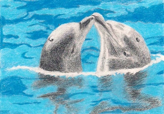 Original Colored Pencil Drawing Dolphin Love ACEO 7 Card