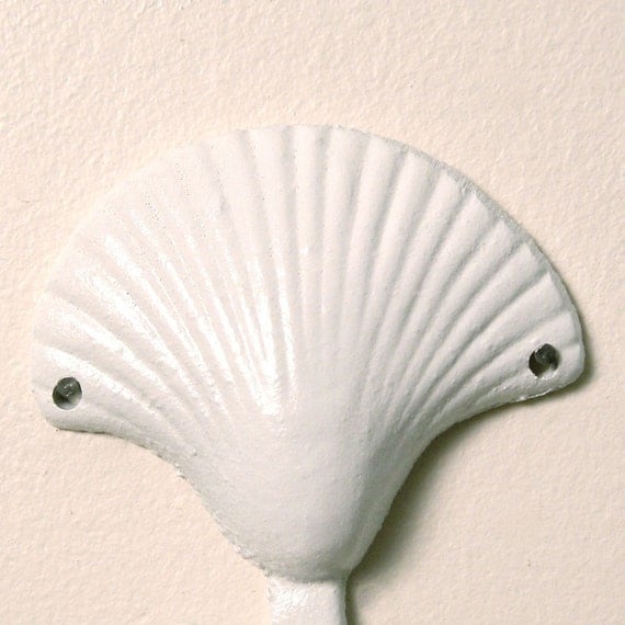 sea shell wall hook