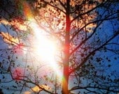 Items similar to Find Your Bright Spot on Etsy