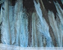 Unique emu feathers related items | Etsy