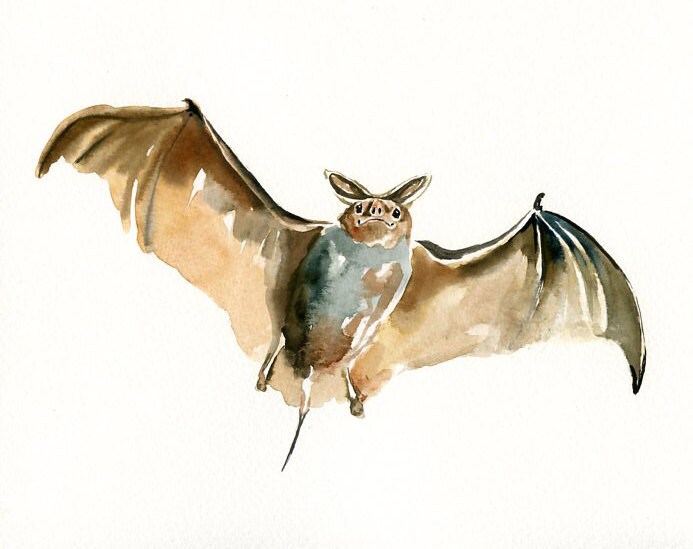 BAT by DIMDI Original watercolor painting 10X8inch