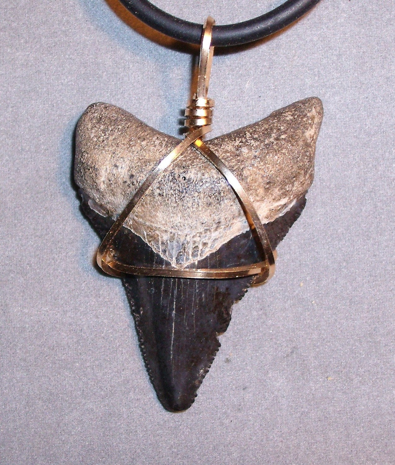 Prehistoric Jewelry