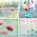 Flower Photography The French Flower Market by GeorgiannaLane