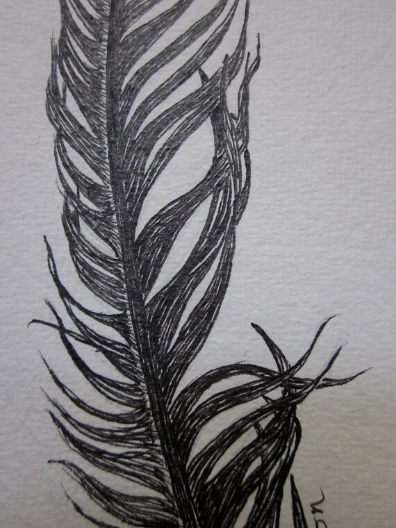 Feather Ink Drawing