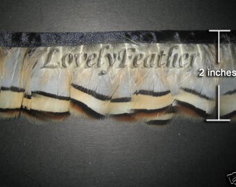 Golden Pheasant ruff feather fringe of green 2 by lovelyfeather