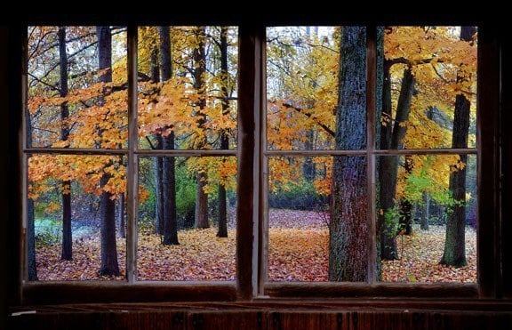 Wall decal Autumn window view-large 24x36 by CatsMeowArt on Etsy