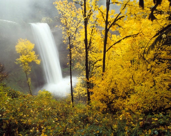 Autumn Photography Waterfall Photograph Fall Colors Yellow