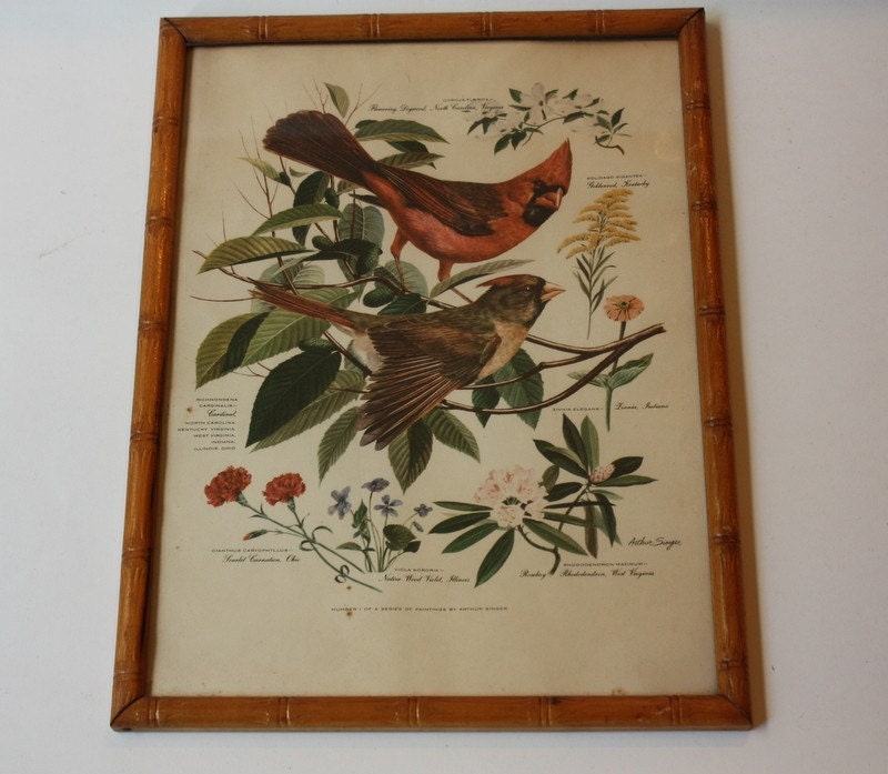 Vintage Arthur Singer Bird Prints