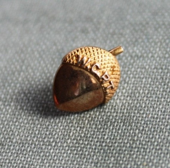 Wee Antique WCPT Acorn Gold Filled Pin