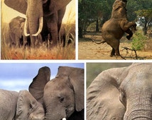 Unique elephant quilt block related items | Etsy