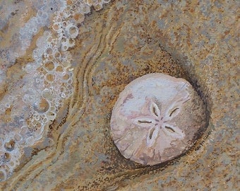 Sand dollar art | Etsy