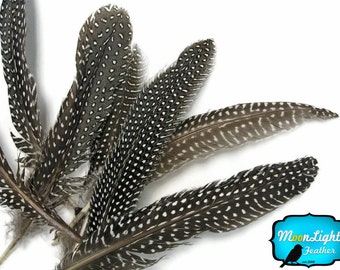 Guinea fowl feather | Etsy