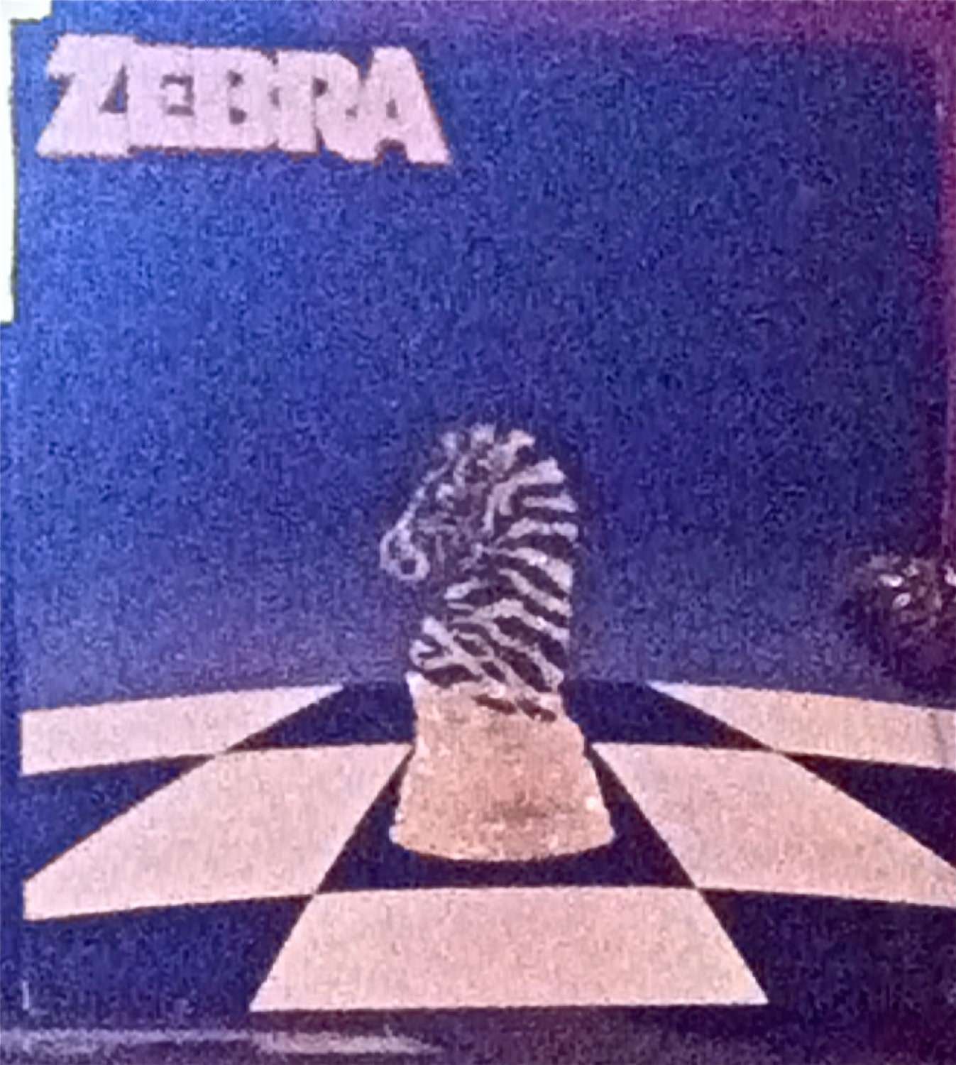 Glittered Zebra Album