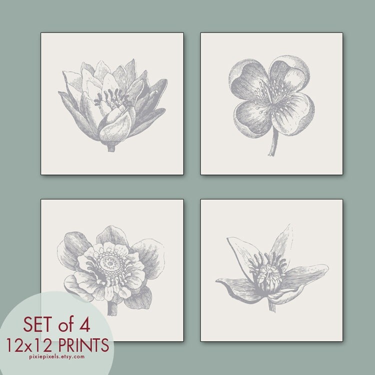 Botanical Flower Bud Series A Set of 4 Square Art by pixiepixels