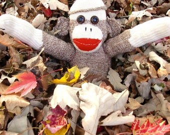 Ernie the Sock Monkey and Cornfield Notecard by WiggysStuff