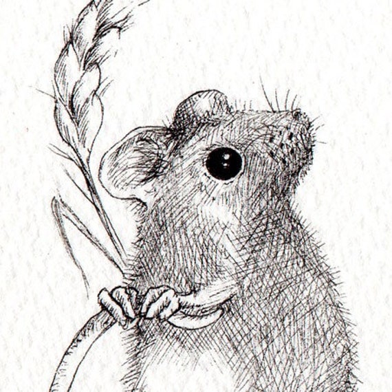 Harvest Mouse ACEO Original Ink Drawing