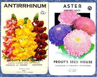 ANTIQUE Seed Packet Colorful Flowers Suitable To by vintagegalore