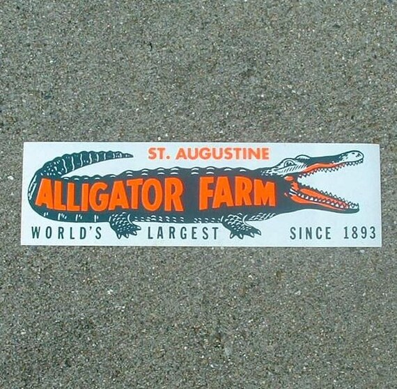 Saint Augustine Florida Alligator Farm vintage bumper sticker