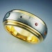 The 9 Planets Ring 18k gold Gibeon Meteorite and 9