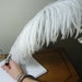 Feather Pen The Obnoxious Emu by StarRedesigns on Etsy