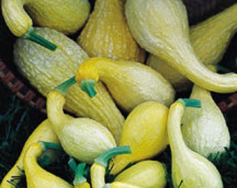 Black Ridge Trading Post and Gardens by blackridge on Etsy