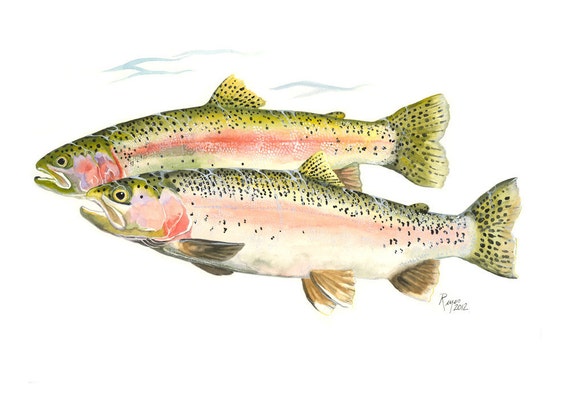 Items similar to Limited Edition GICLEE Print / "Steelhead Cruising ...