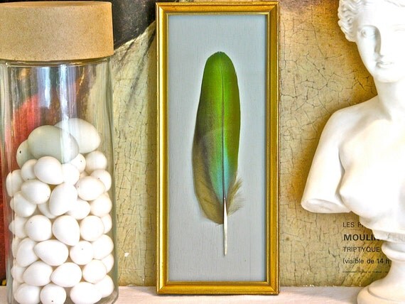 Framed Feather