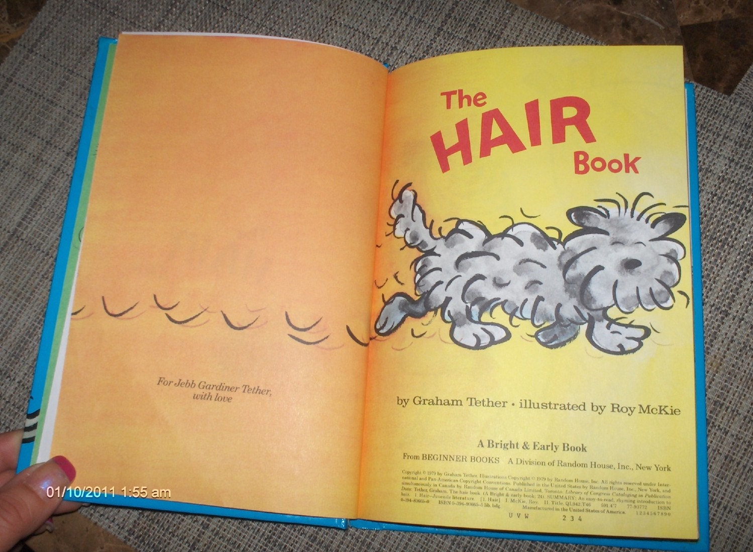 The Hair Book Dr. Seuss Bright and Early for Beginning