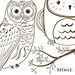 Owl Digital Stamp Outline Cute Woodland Owl Line Art PNG