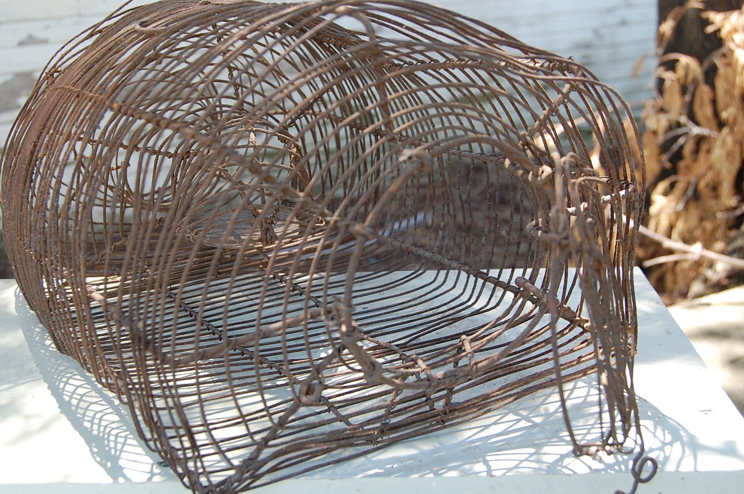 Antique Wire Mouse Trap Primitive 1915 Live Trap Cage