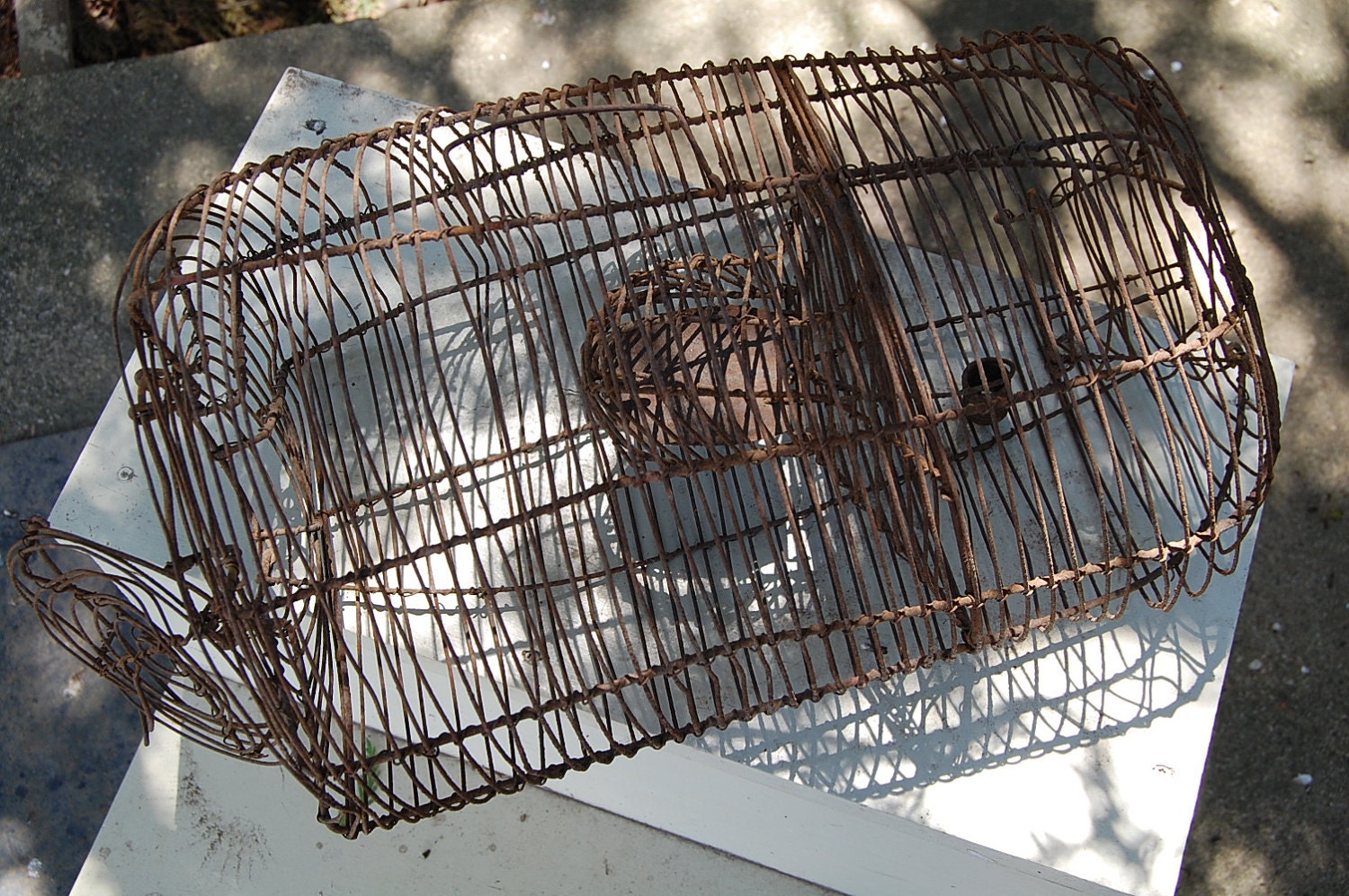 Antique Wire Mouse Trap Primitive 1915 Live Trap Cage