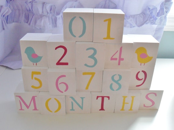 Items similar to Baby Blocks- Photo Prop for Monthly Baby Pictures- Set ...