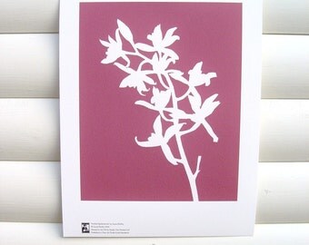Botanical Papercut Art Prints Cards Gifts & Homeware by KitzieG