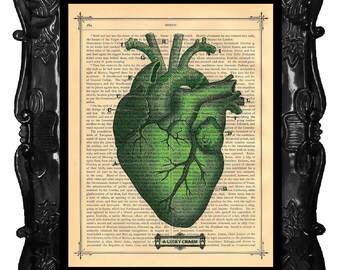 Victorian science | Etsy