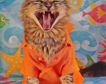 Rasta Cat 5 x 7 print by LorenzoTheCat on Etsy