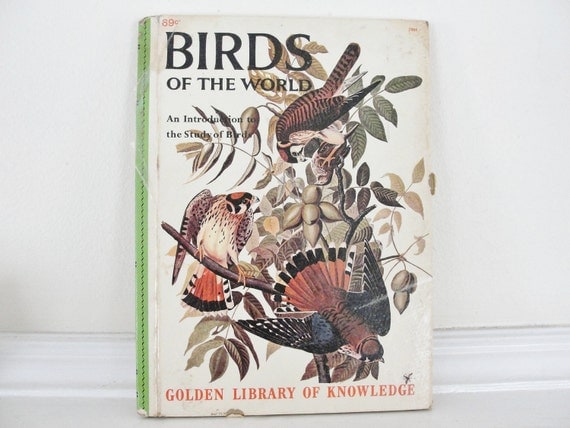 Vintage Book Vintage Bird Book Childrens Bird Book Golden