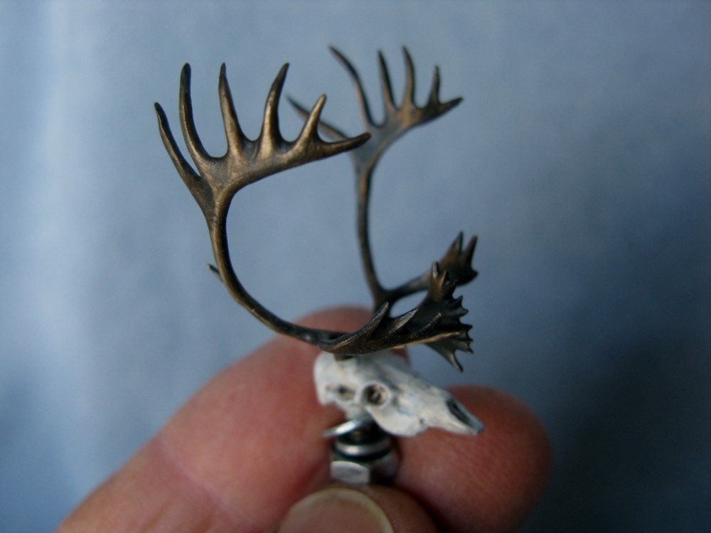 Caribou Skull