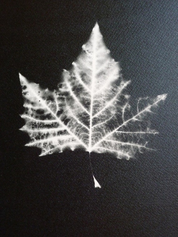 Items similar to Untitled Photogram on Etsy