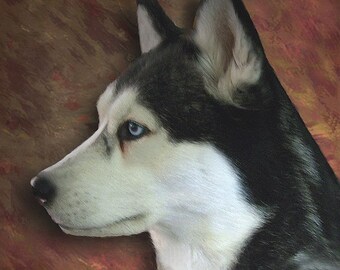 Custom Dog Portrait Springer Spaniel on 11 x 14 by verybestdog