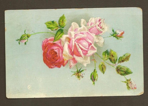 Pink Roses on Pair of Vintage Postcards early 1900s