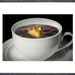 Yikes there is a Frog in my Java A Fine Art by RandyNyhofPhotos