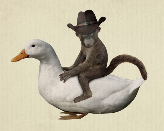 Monkey in Cowboy Hat Riding a Duck 8x10 Print