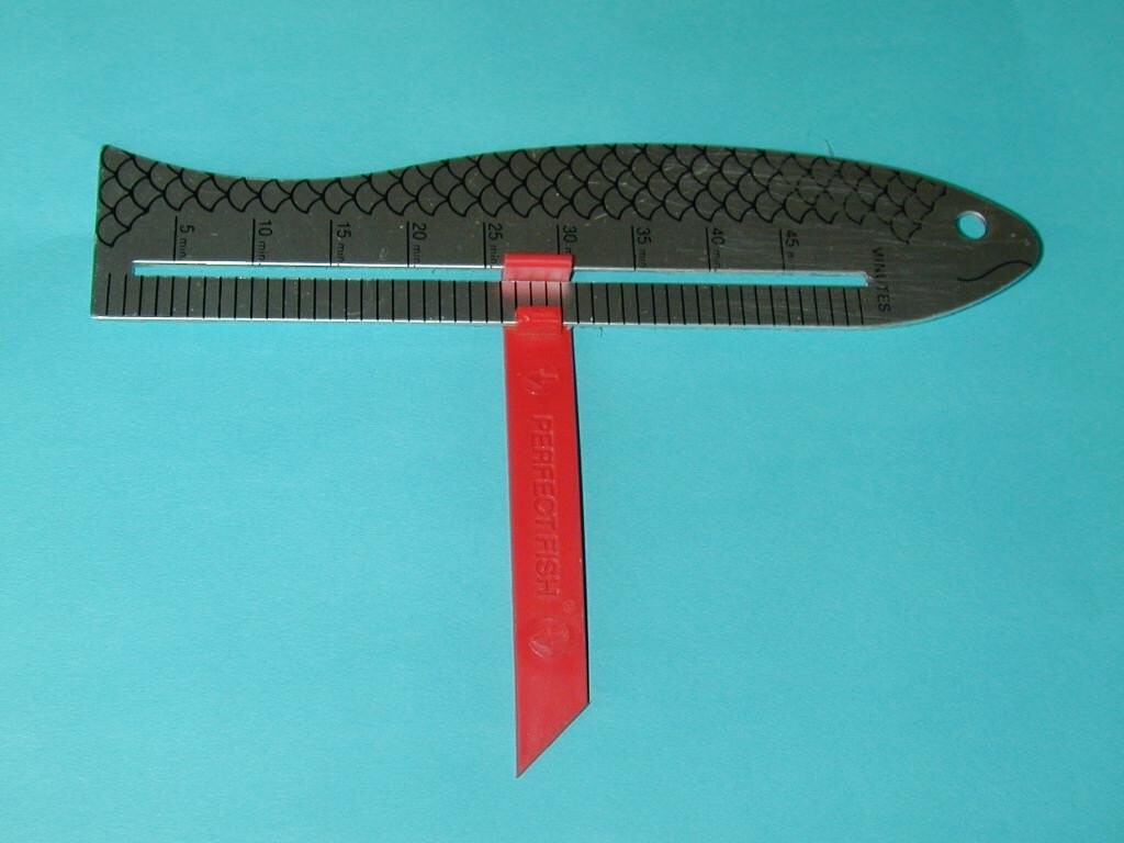 Perfect Fish Cooking Time Indicator