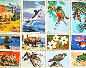 Popular items for animal stamps on Etsy
