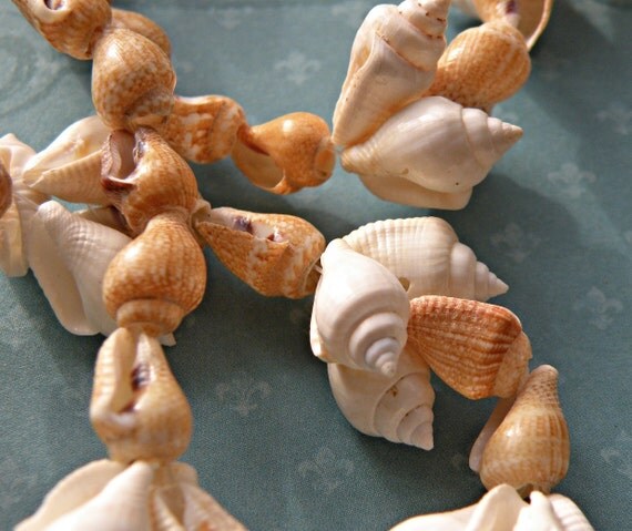 17 Strung Pooka Shells