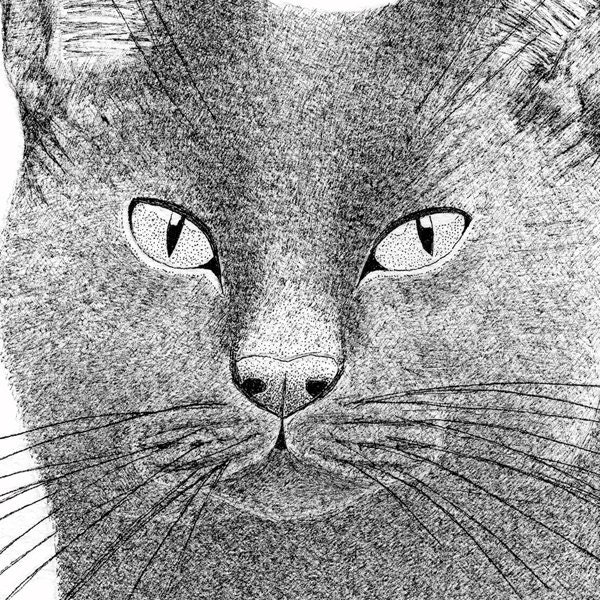 Original Drawing Original Art Ink Illustration Grey Gray